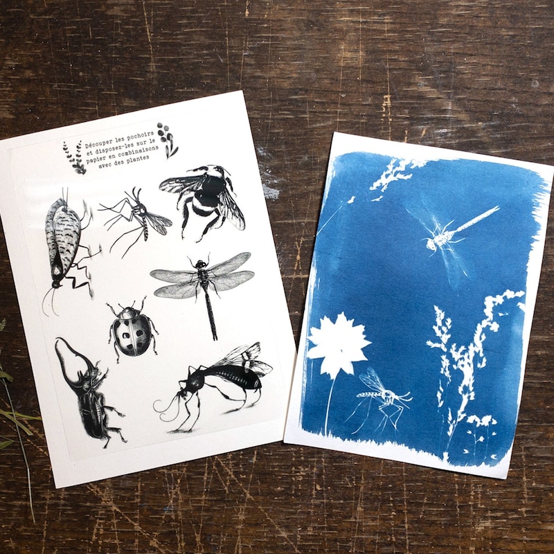 Insect Stencil - Etsy