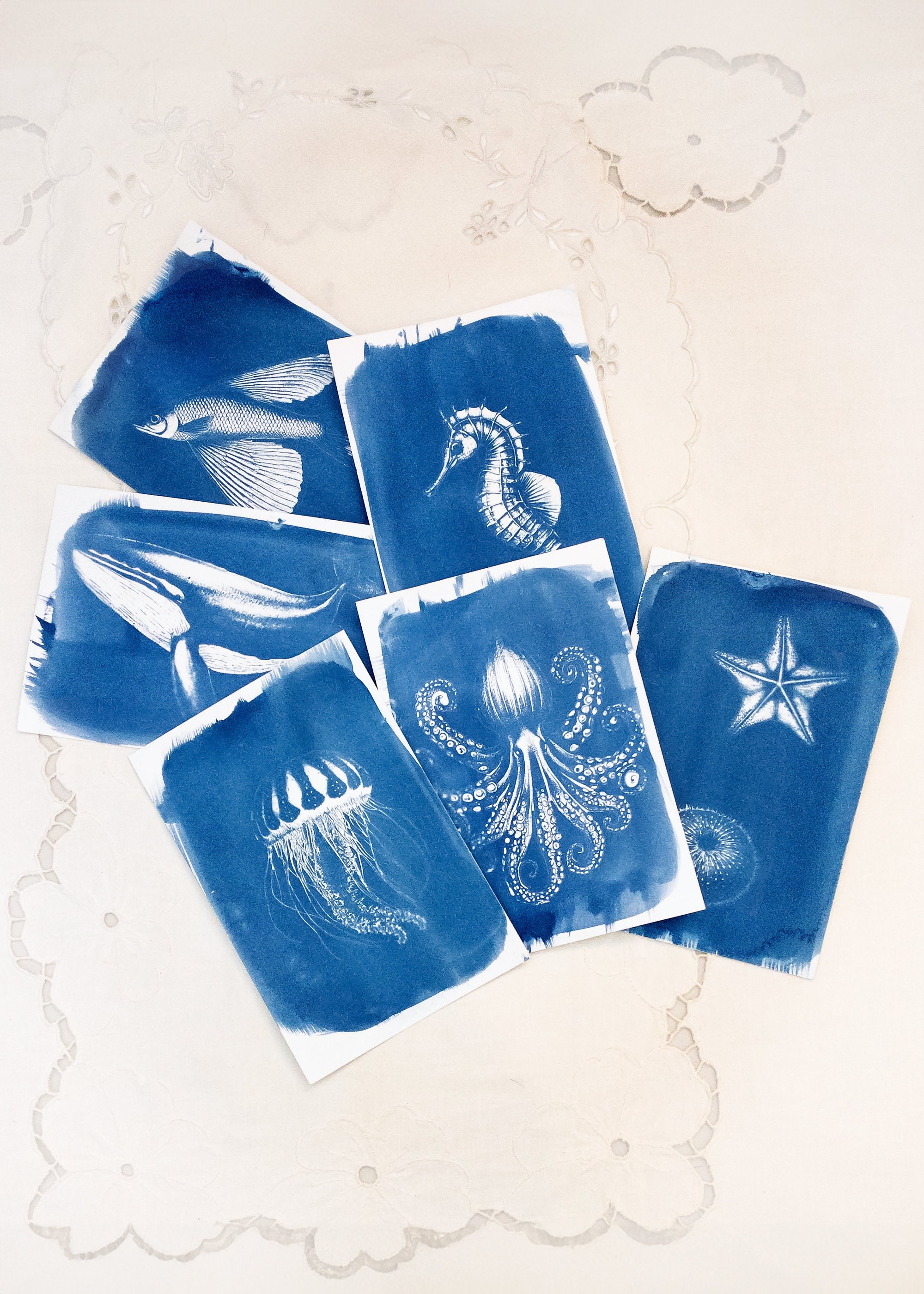 Just Stencils, Cyanotype Stencils, Marine Life Stencils Kit, DIY Art ...