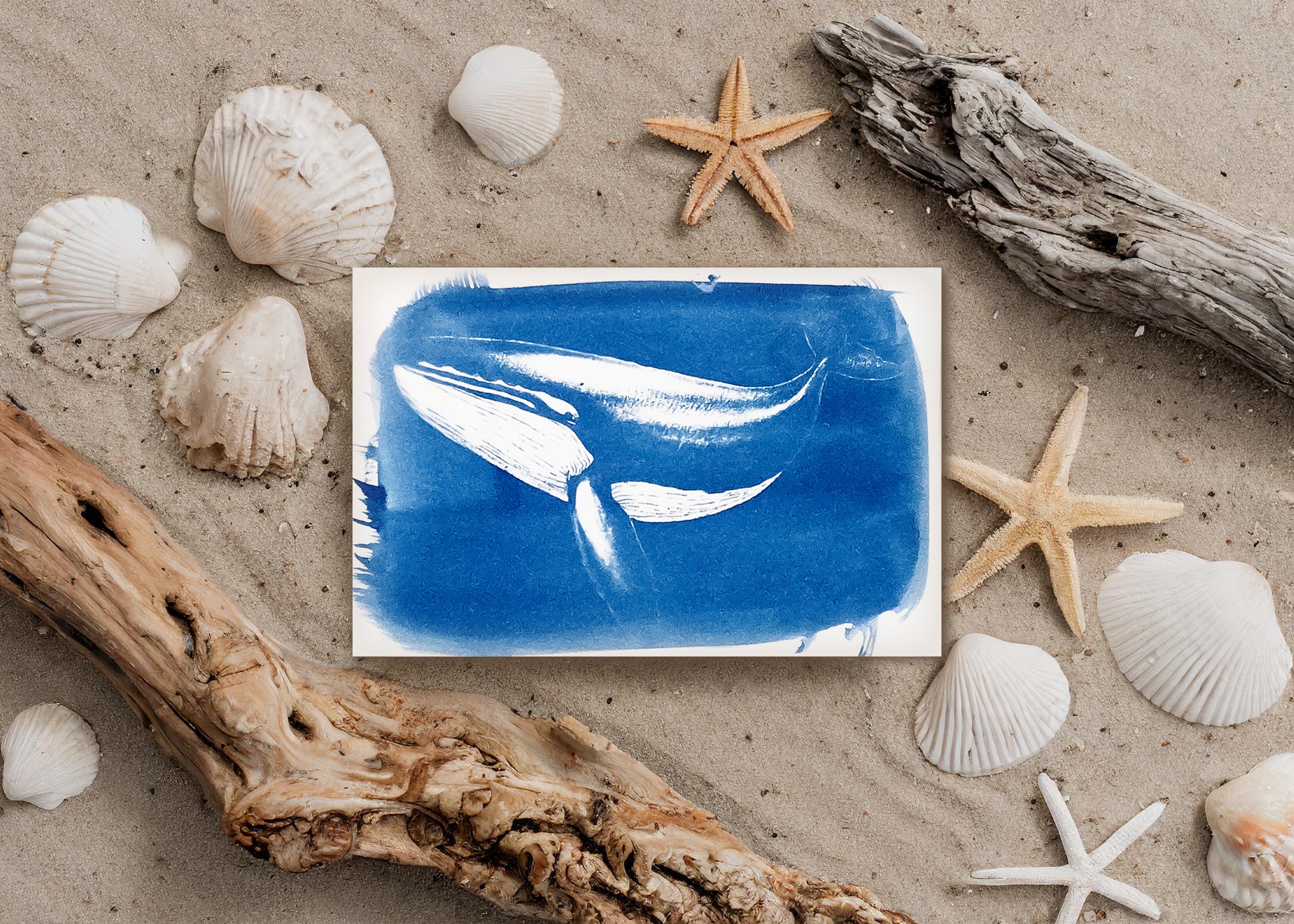 Just Stencils, Cyanotype Stencils, Marine Life Stencils Kit, DIY Art ...