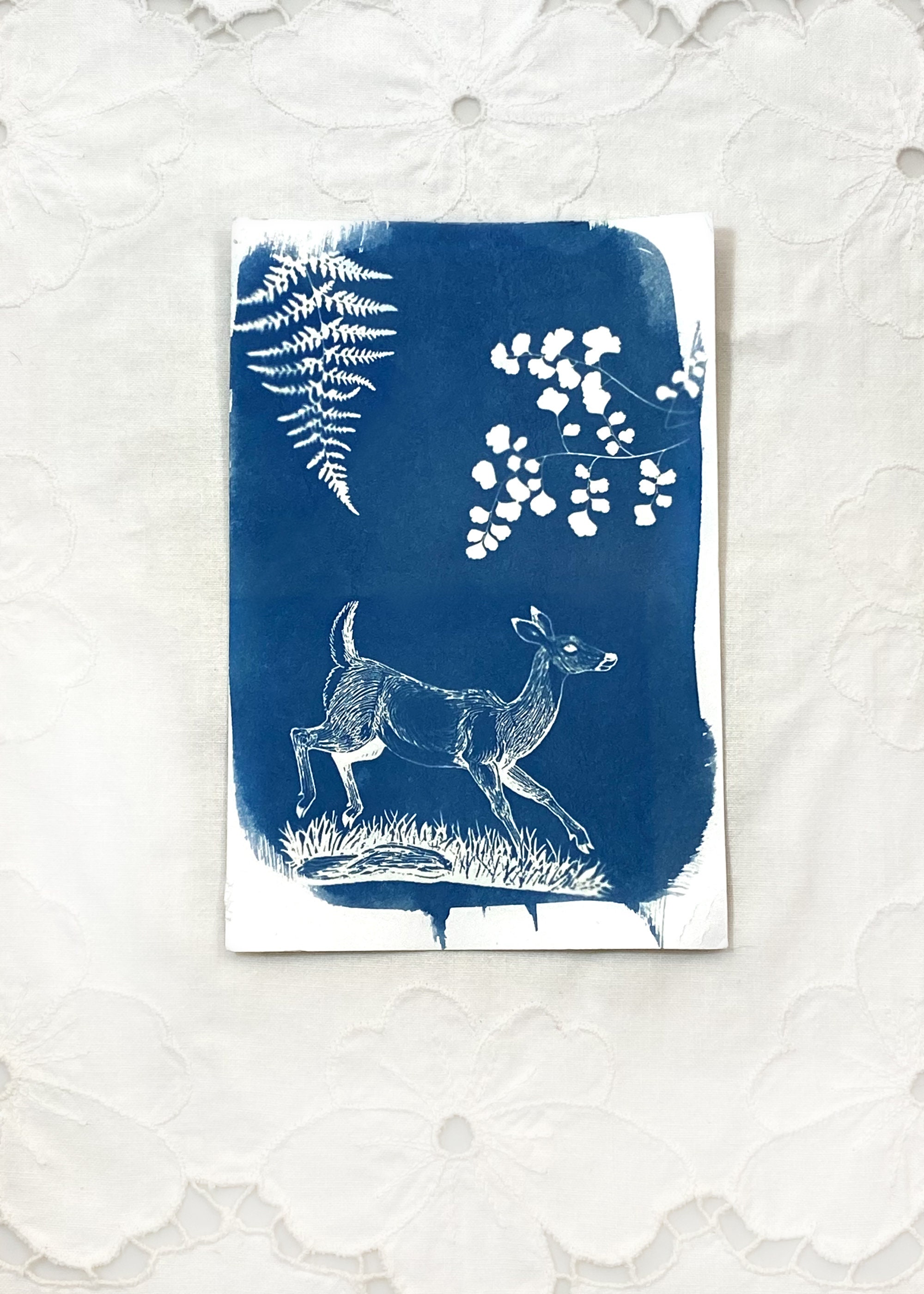 Cyanotype Kit: Forest Animal Stencils, Create Your Own Prints and ...