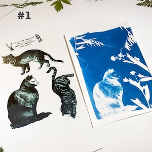 Cyanotype Stencils, Choose Your Stencil, DIY Crafts, Do-it-yourself Sun ...