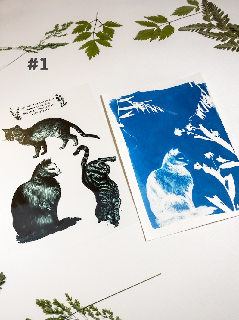 Cyanotype Stencils, Choose Your Stencil, DIY Crafts, Do-it-yourself Sun ...