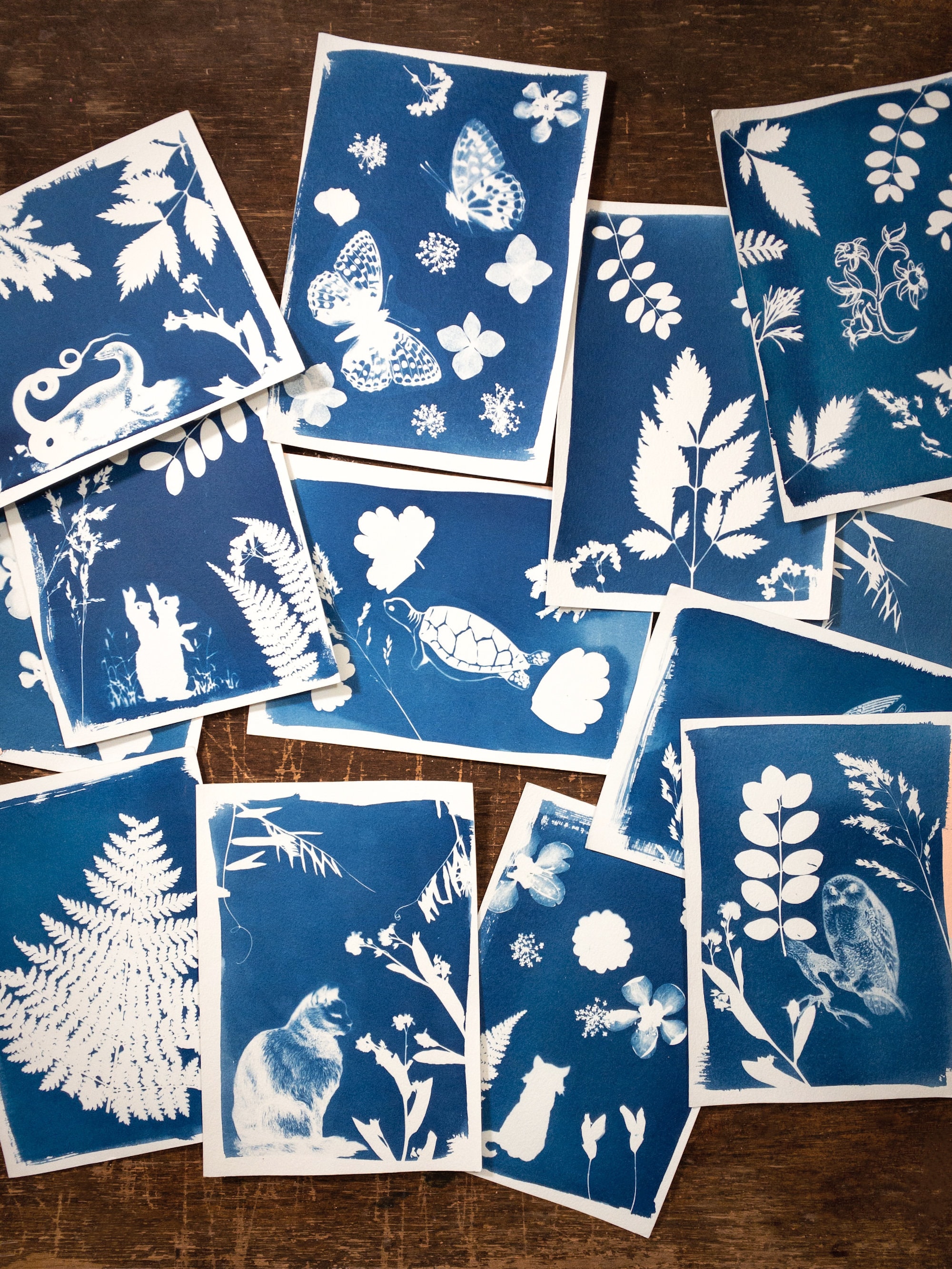Cyanotype Craft Kit, Solar Printing Kit, DIY Craft Kit for Adults and ...