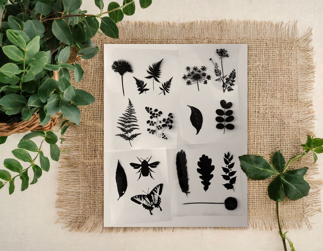 Stencils Kit for Cyanotype. Botanical Stencil Kit, DIY Kit for Adults ...