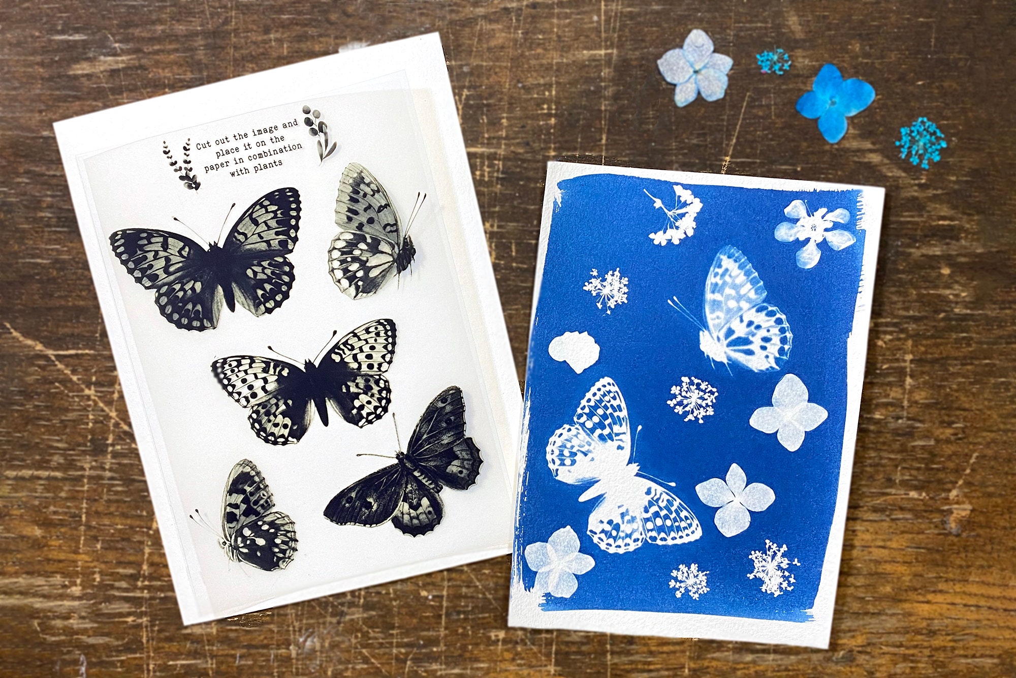 Cyanotype Kit: Butterfly Stencils, Create Your Own Prints and Handmade ...