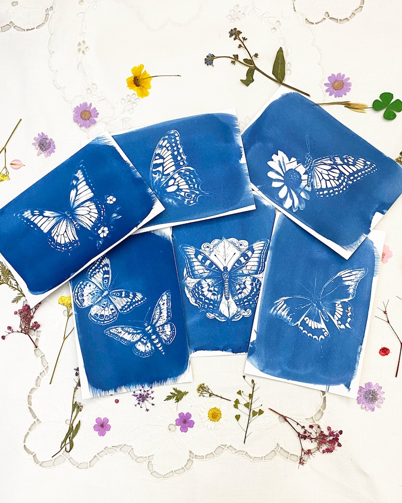 Just Stencils, Large Butterflies Stencils Kit, Creative Cyanotype ...