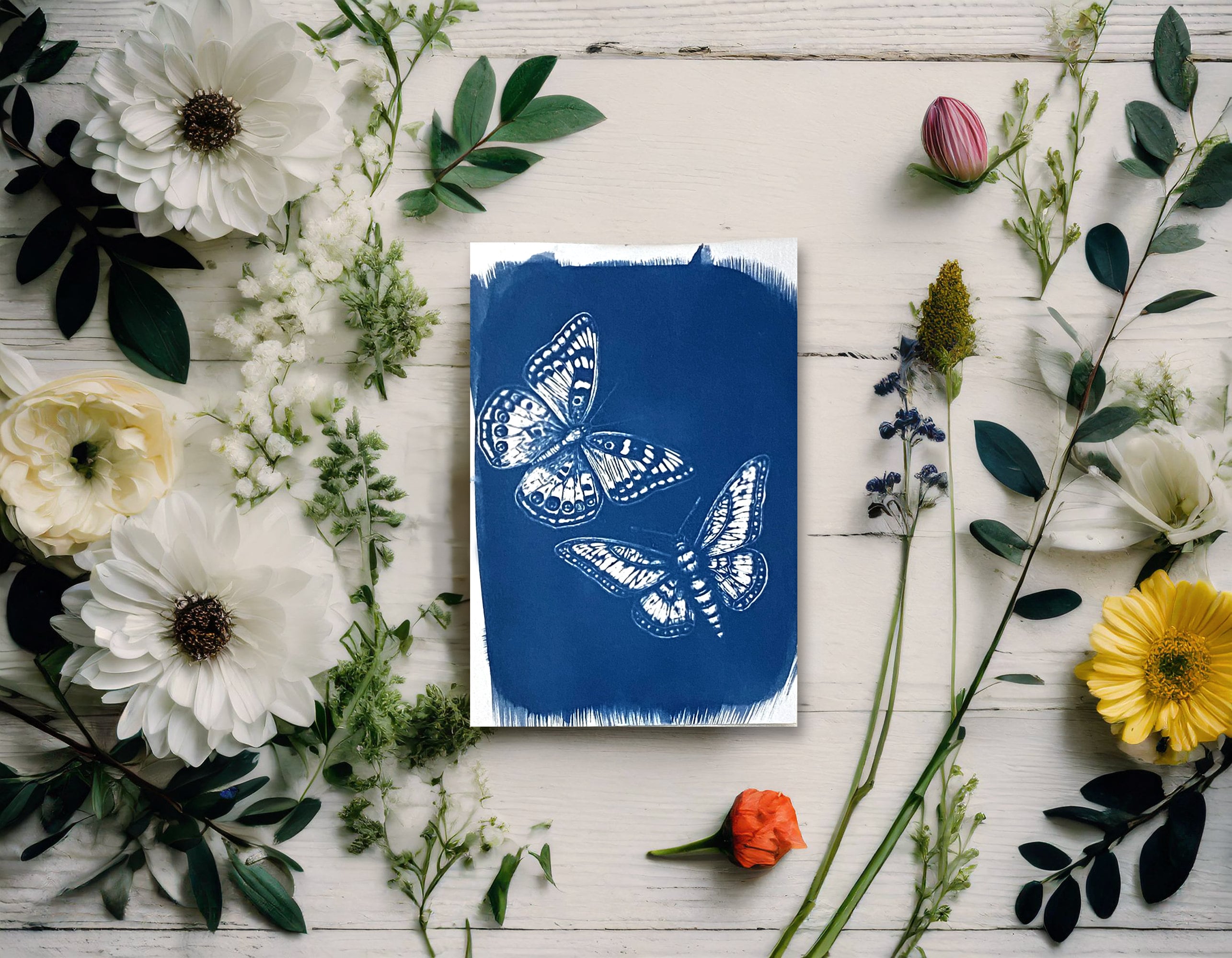 Just Stencils, Large Butterflies Stencils Kit, Creative Cyanotype ...