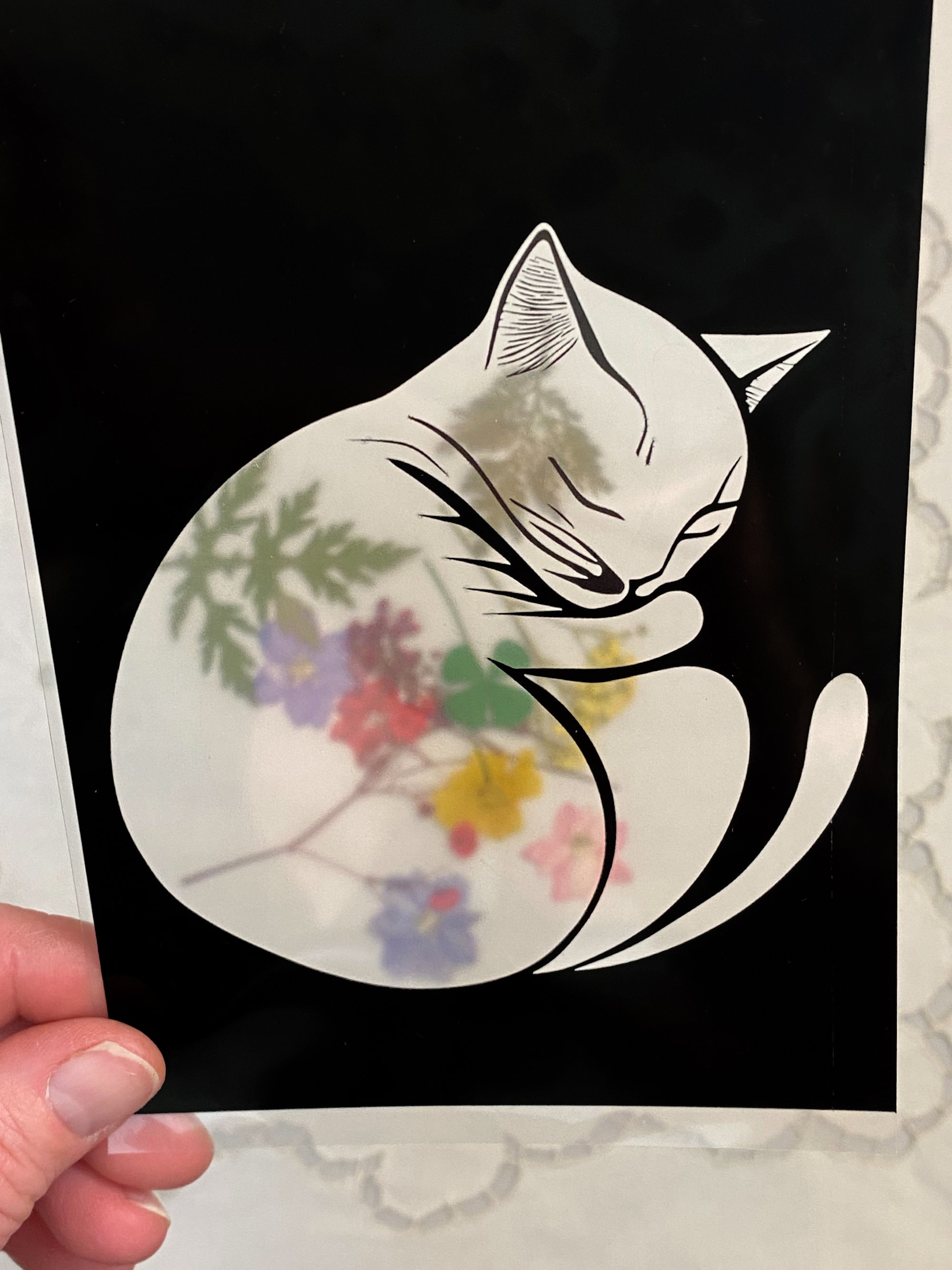 Cyanotype Kit for Adults and Children. Creative Solar Printing Kit With ...