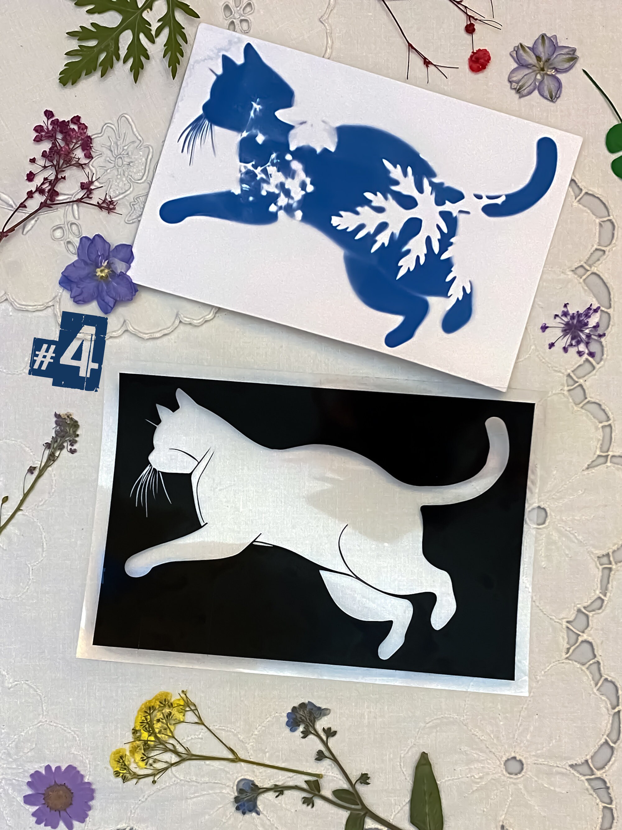 Cyanotype Kit for Adults and Children. Creative Solar Printing Kit With ...