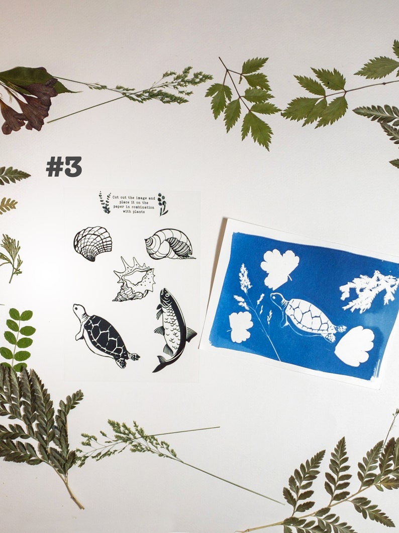 Cyanotype Stencils, Choose Your Stencil, DIY Crafts, Do-it-yourself Sun ...