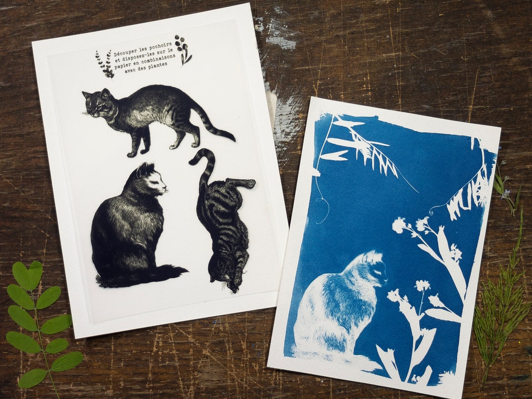 Cyanotype Kit: Cats Stencils, Create Your Own Prints and Handmade Gifts ...