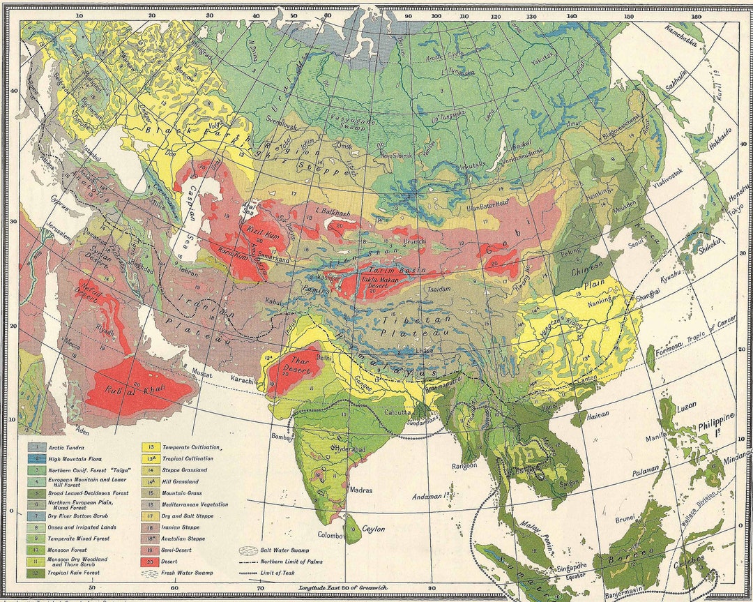 World Asian Vegitation Vintage Map 1948 Map Print Old Adventure Travel ...