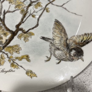 Vintage Kaiser West Germany Fine Porcelain Nature Bird Plate of the ...