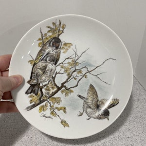 Vintage Kaiser West Germany Fine Porcelain Nature Bird Plate of the ...