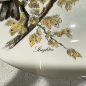 Vintage Kaiser West Germany Fine Porcelain Nature Bird Plate of the ...