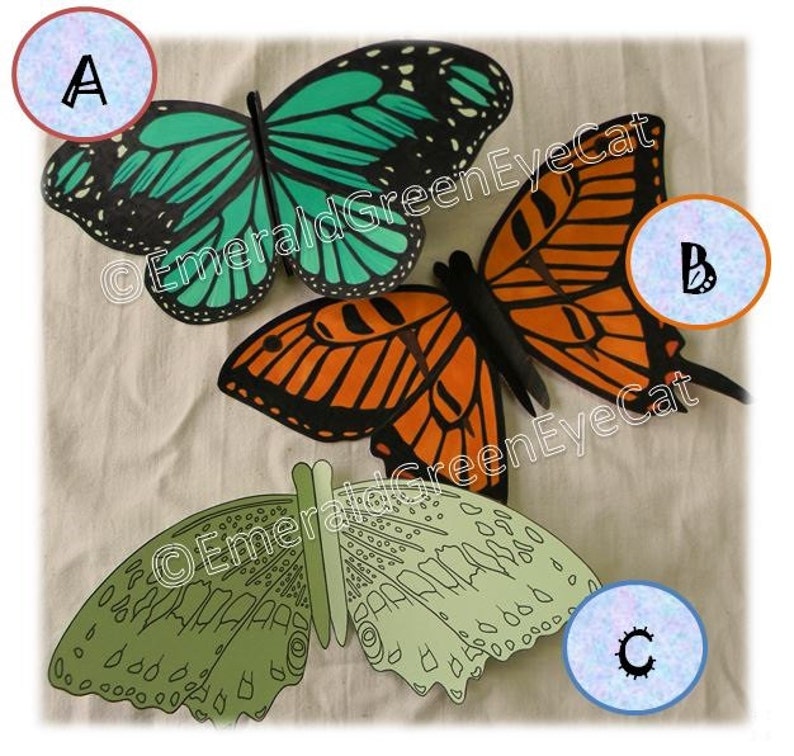 Digital Butterfly Templates Hand Drawn Butterfly Coloring | Etsy