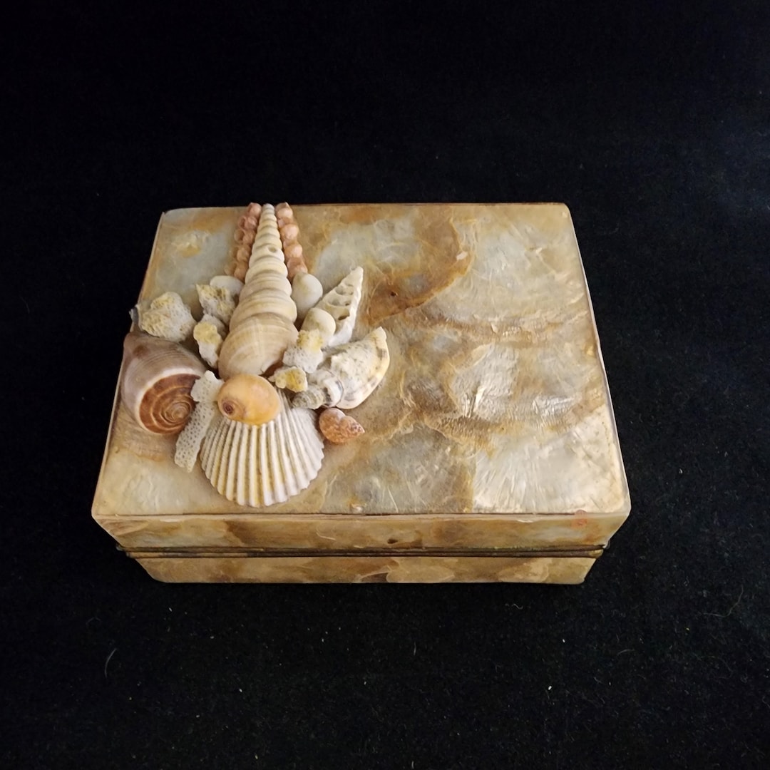 Vintage Capiz Conch Shell Fried Coral Trinket Jewelry Box - Etsy