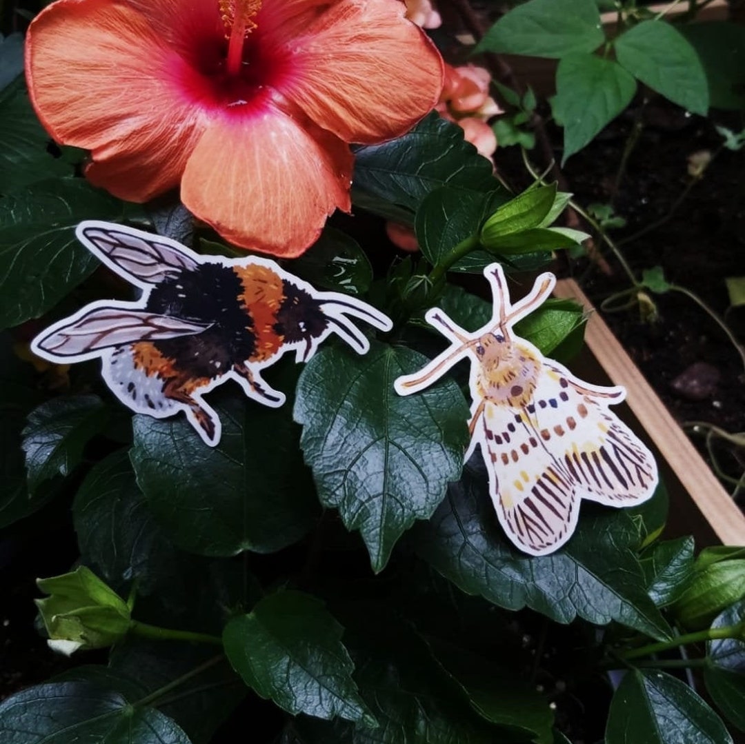 SUMMER CRITTERS Stickerpack - Etsy