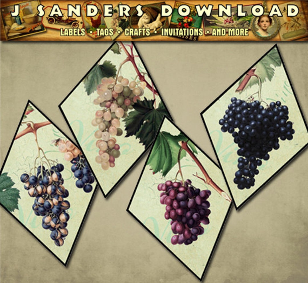 Grape Tags for Wine Giving - Etsy