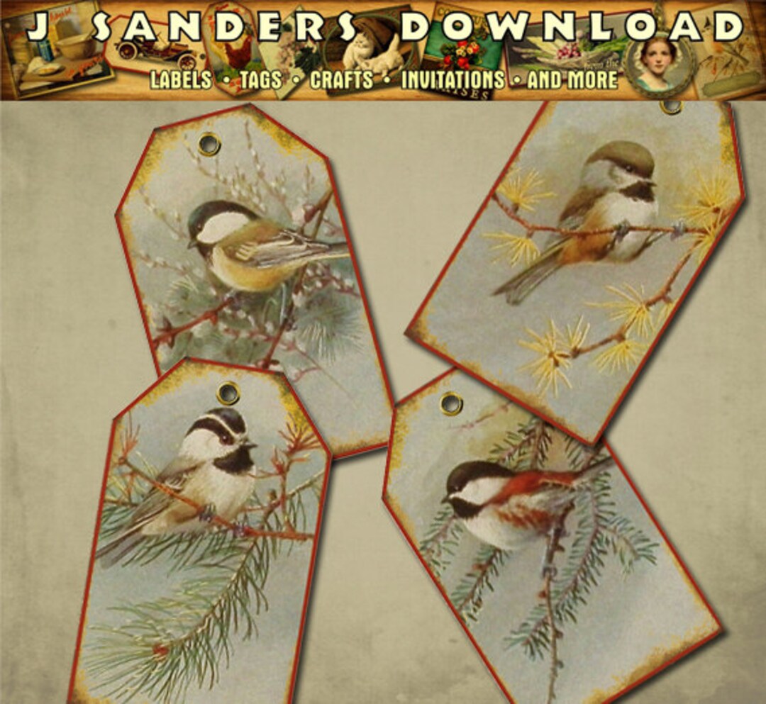 Bird Tags and Labels for Retail Products and Gifts - Etsy