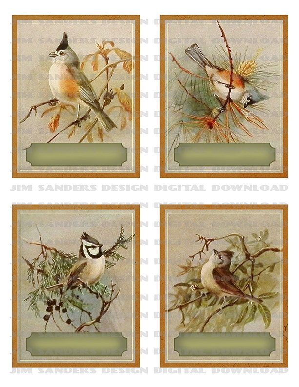 Songbird Labels, Gift Tags, Digital Download, Birds, Bird Lovers - Etsy