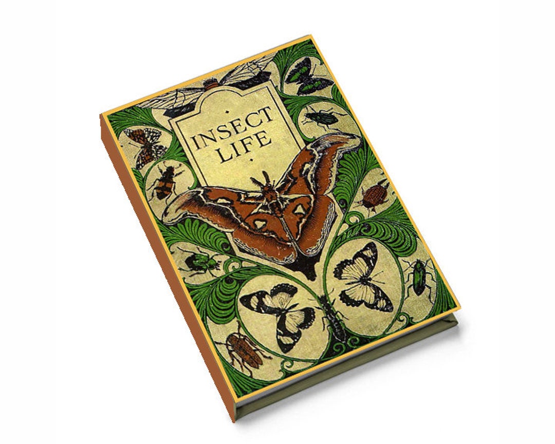 Biology and Insect Book Cover for 5.5" X 8" Hard Back Sketchbook ...