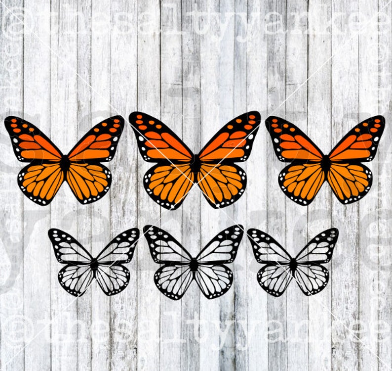 Monarch Butterflies Layered SVG File Download - Etsy