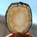 Ten Sided Star Fractal Linework Engraved Agate Sacred Geometry Home ...