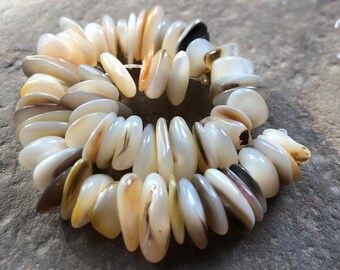 Golden Lip Shell - Etsy