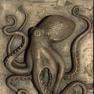 Octopus, Cold Cast Bronze High Relief Wall Sculpture in White Wooden ...