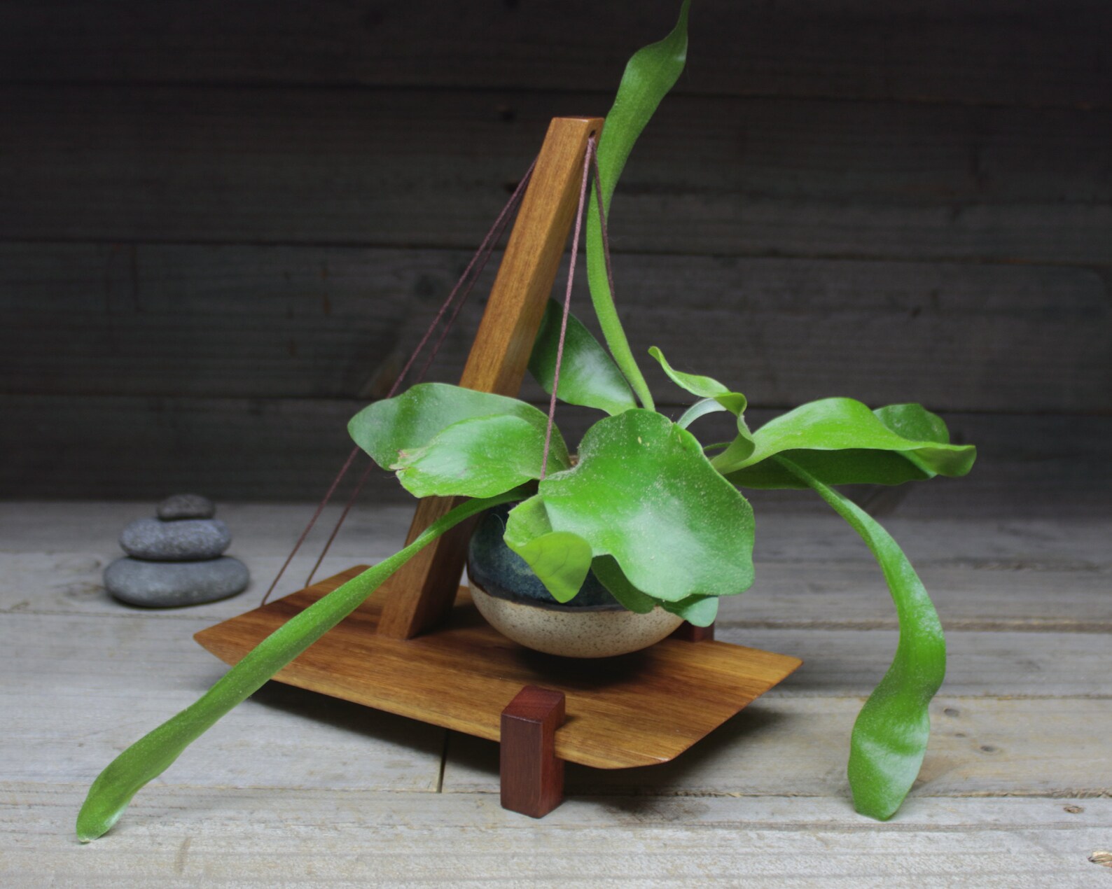 Sculptural Hanging Planter: Handmade Australian Hardwood With Ceramic ...