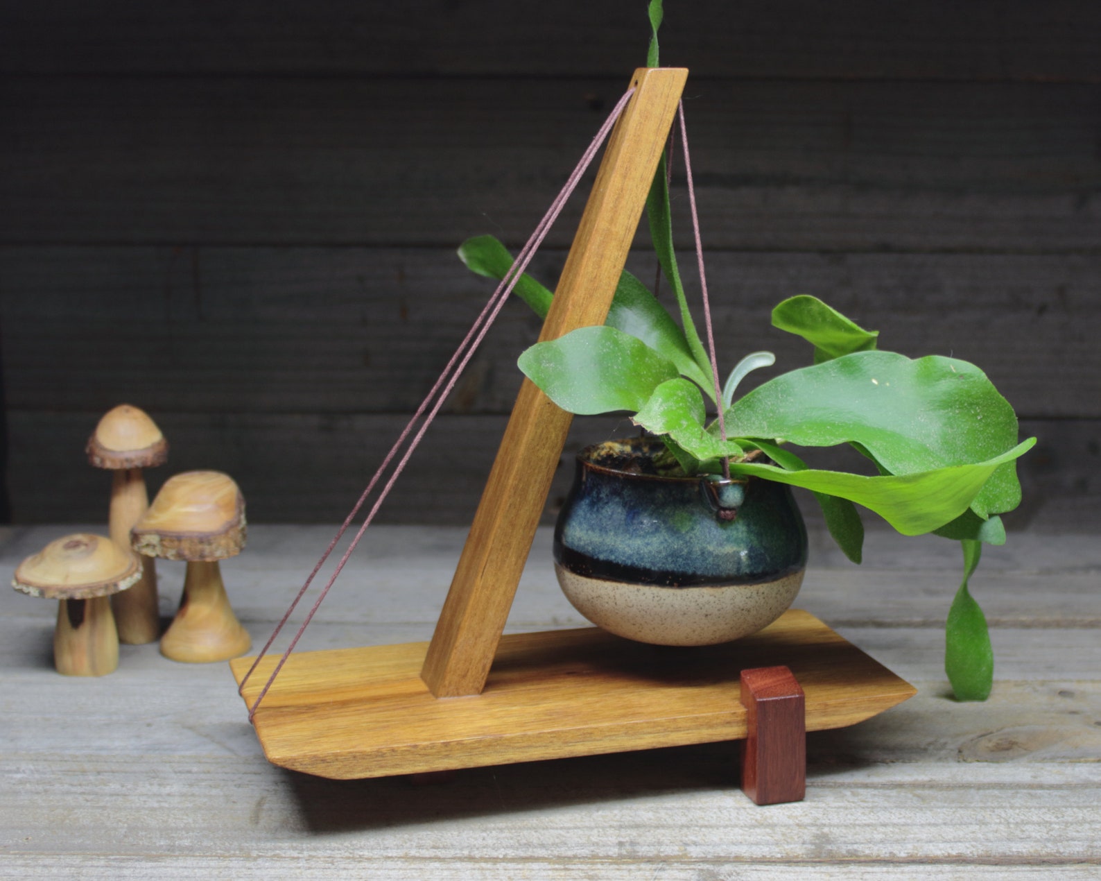 Sculptural Hanging Planter: Handmade Australian Hardwood With Ceramic ...