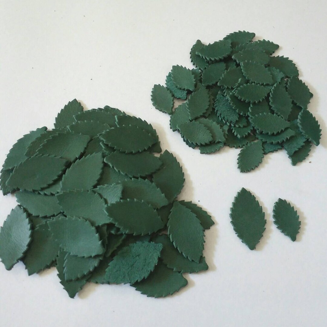 Leaf Shape, Leather Leaf, 13/1620mm. & 1 3/16 30mm. High, Green ...