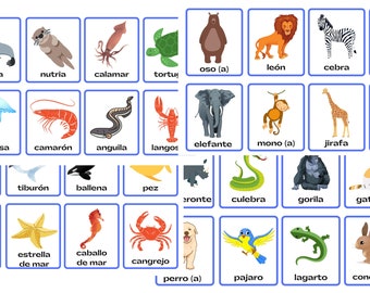 Printable Spanish Animal Flashcards - Etsy