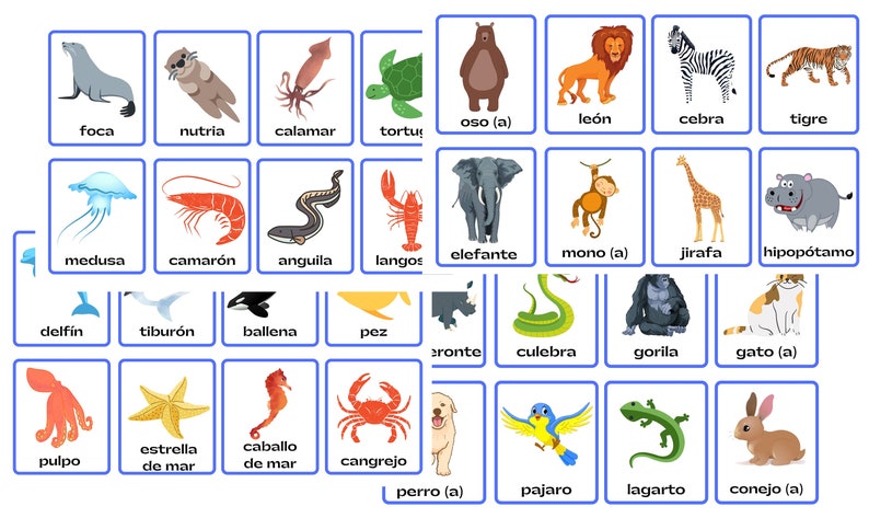 Spanish Animal Flashcards - Etsy