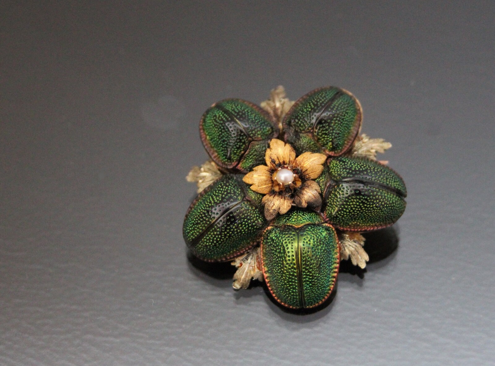 Victorian Petrified Scarab Pansy Brooch Antique Bug Insect - Etsy