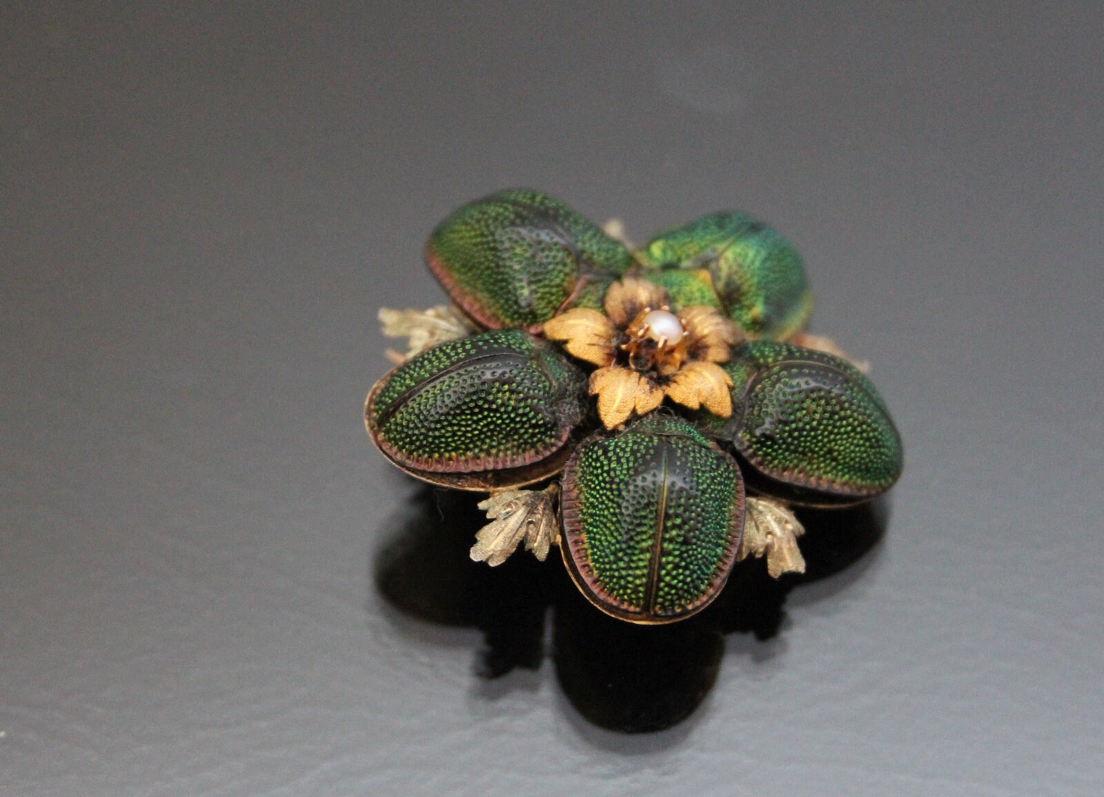 Victorian Petrified Scarab Pansy Brooch Antique Bug Insect - Etsy