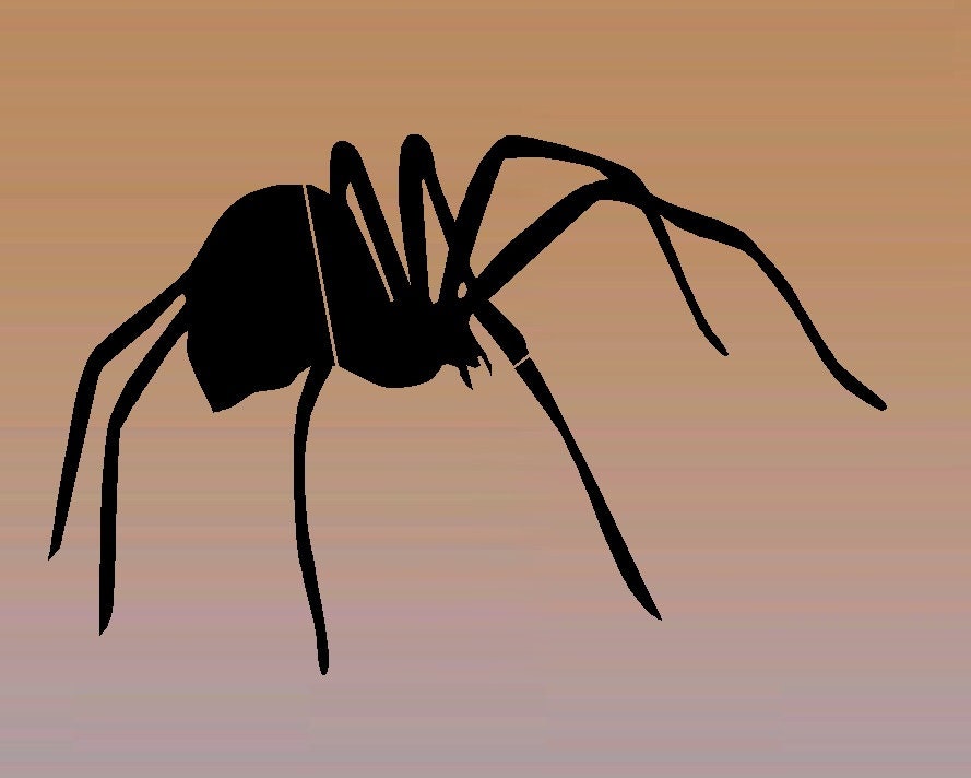 SPIDER 3 Large Wall or Window Decal - Etsy