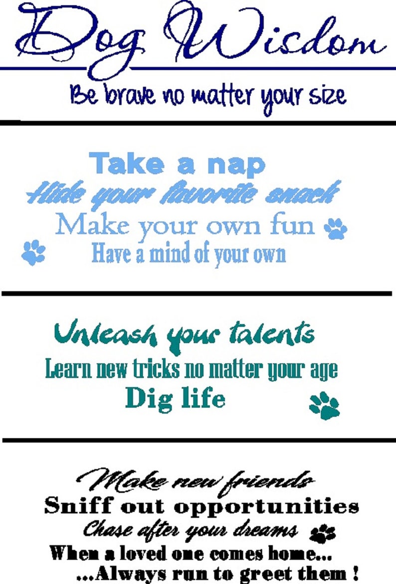 Dog Wisdom - Wall or Window Decal - Etsy