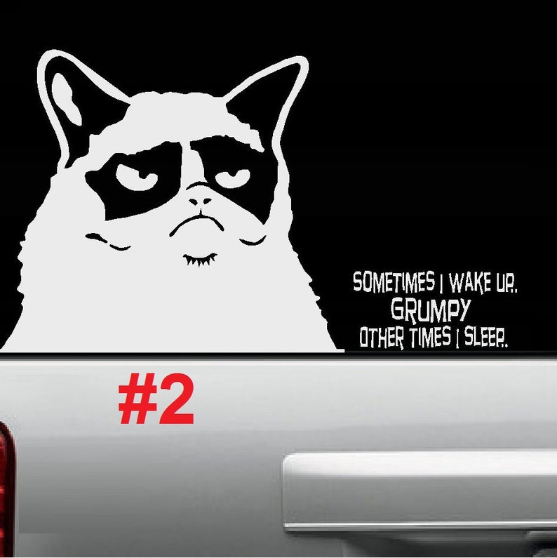 Sometimes I Wake up Grumpy Other Times I Sleep 1 or 2 - Etsy