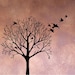 Bare Tree, Wall or Window Decal Choose From: Small, Medium, Large, or ...