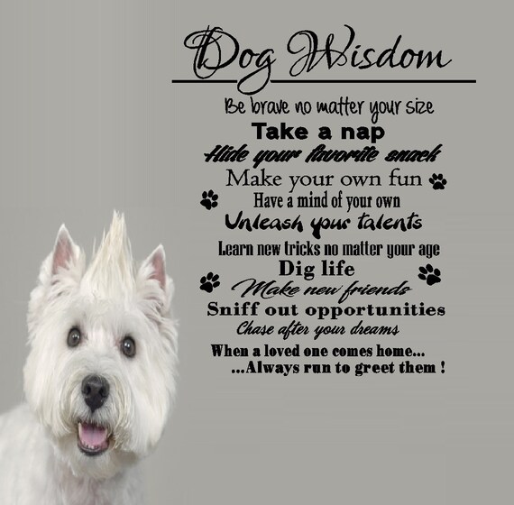 Dog Wisdom