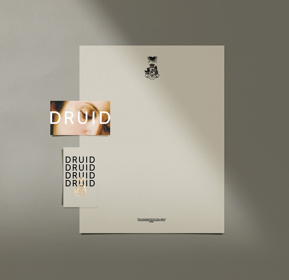 FULL Rebranding Package Business Rebranding Package Complete - Etsy