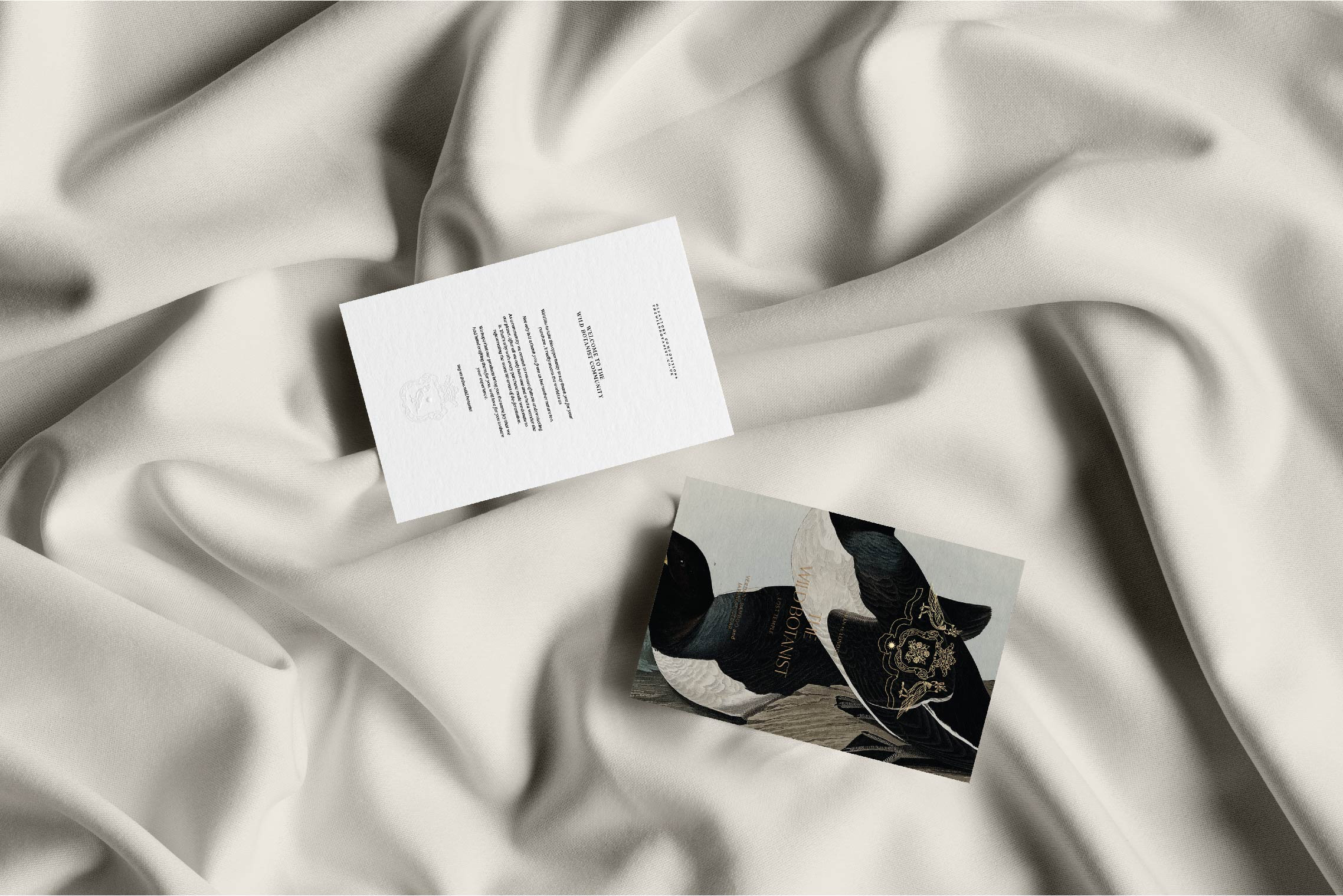 FULL Rebranding Package Business Rebranding Package Complete - Etsy