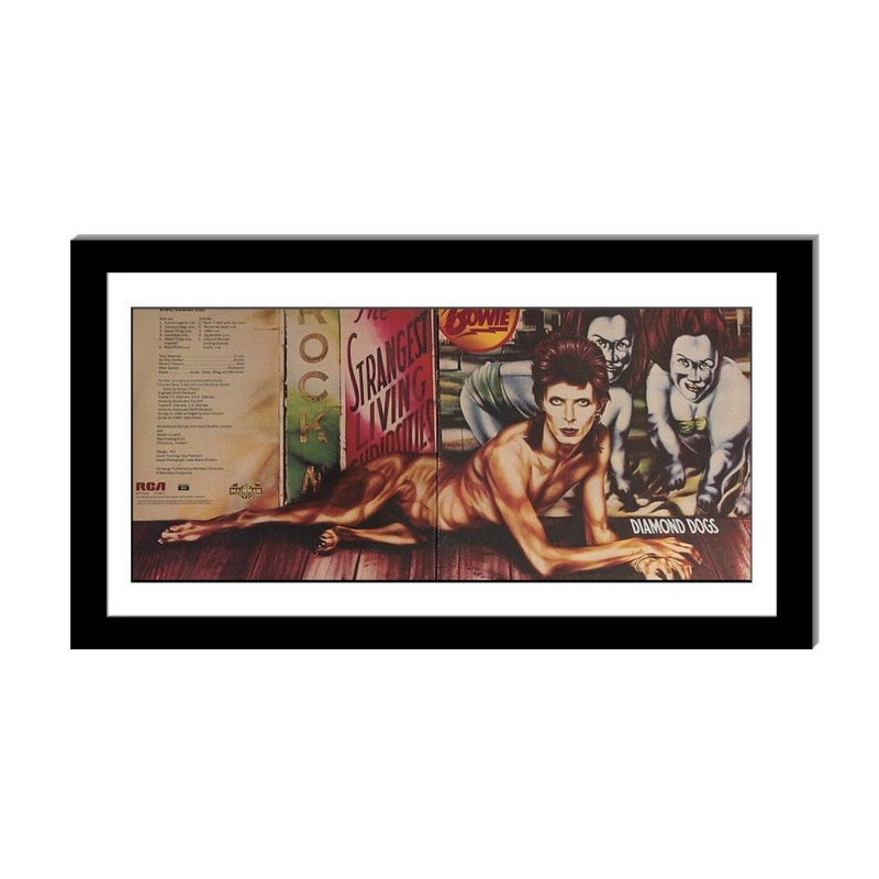 Vinyl Custom Gatefold - Etsy