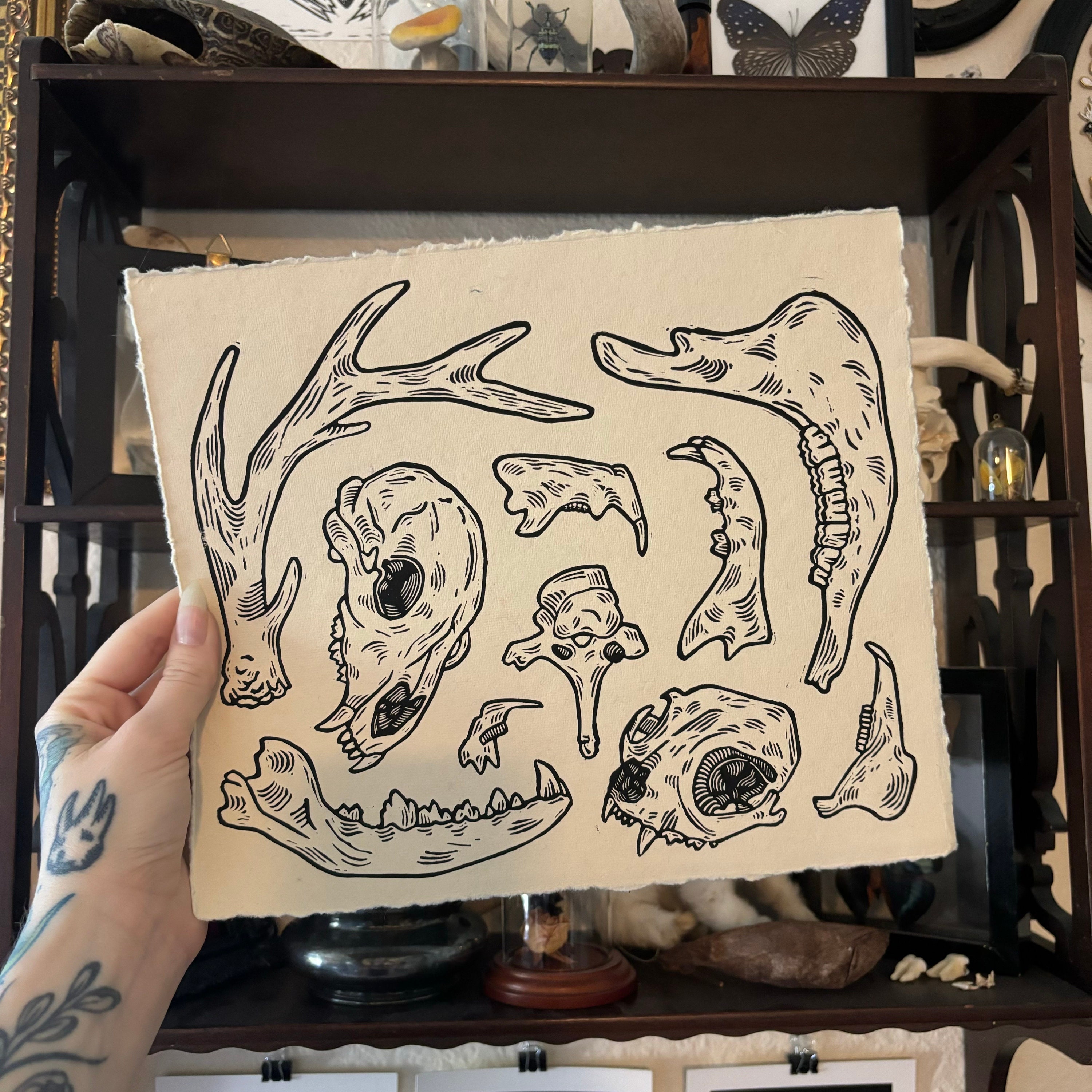 BONE COLLECTOR | Lino Print | Skulls, Jawbones & Antler - Etsy