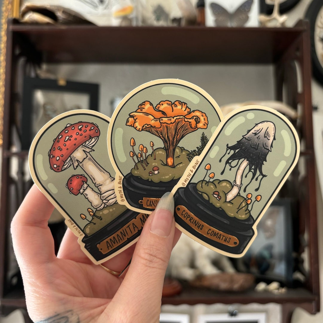 VINYL STICKERS Mushroom Sticker Pack - Etsy
