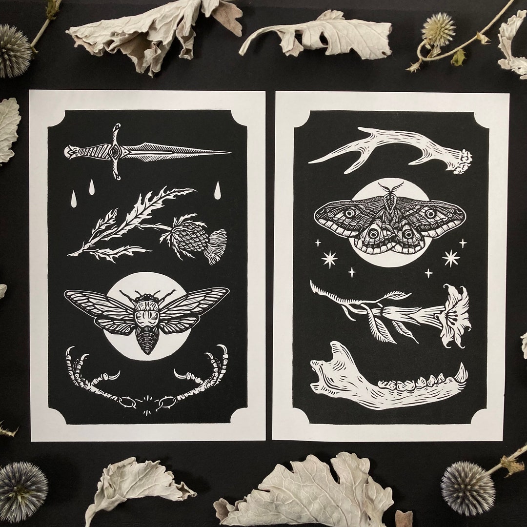 RITUAL / OFFERING | Lino Prints | Cicada With Thistle, Moth With ...
