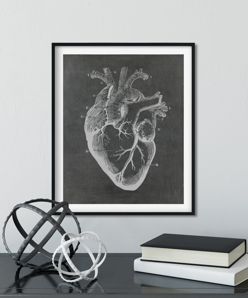 Human Heart Anatomy Printable Cardiology Office Art Black | Etsy