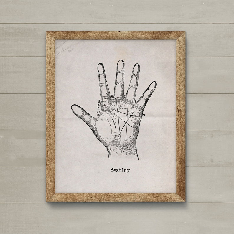 Alchemy Hand 3 Anatomical Hand Destiny Palmistry Medieval - Etsy